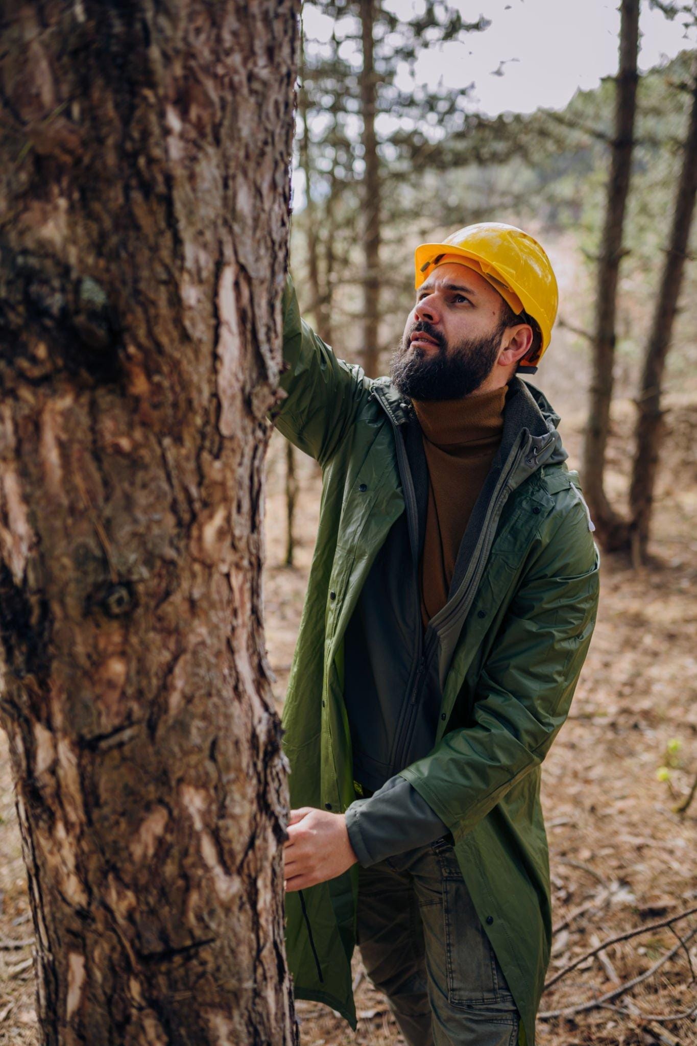 Measuring Up: The Benefits of Conducting a Greenhouse Gas Emissions ...