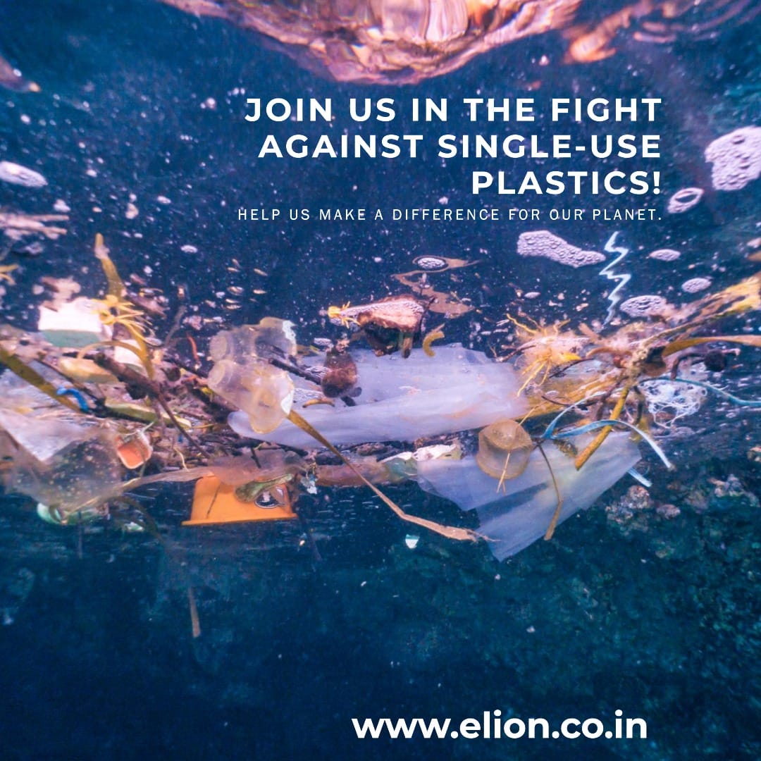 The Impact of Single-Use Plastic Policy Compliance on Our Environment